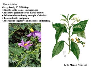 Solanaceae: Morphology, Classifictaion and Economic Importance | PPTX ...