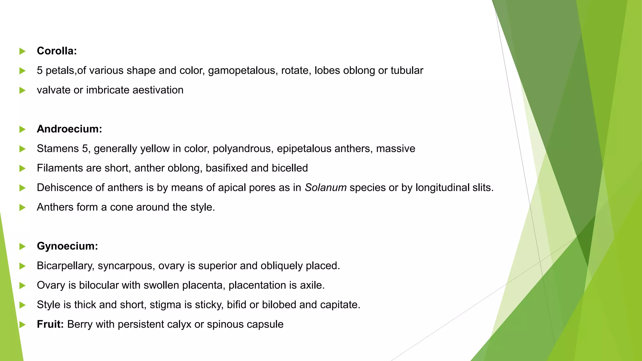 Solanaceae family | PPTX