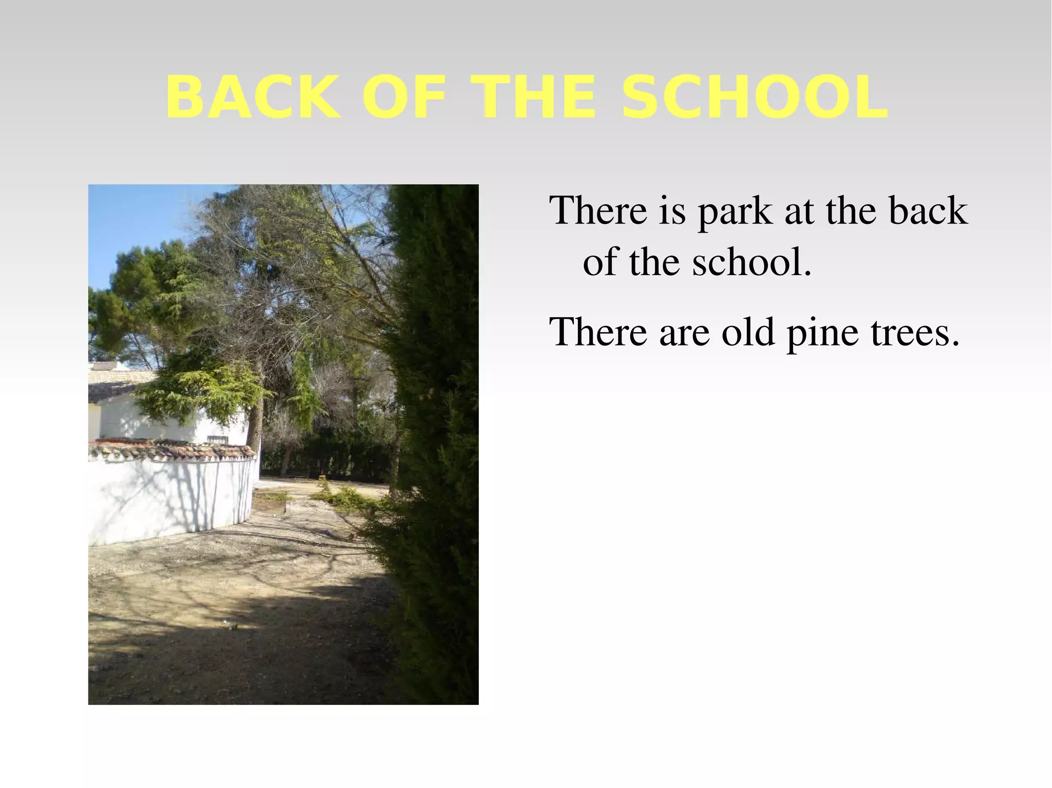 Solana de Torralba | ODP