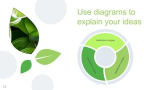 Solanio · SlidesCarnival.pptx