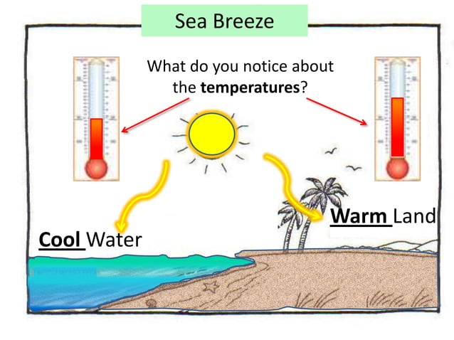 Solar energy, Uneven Heating of Earth, Wind, and Ocean Currents | PPTX ...