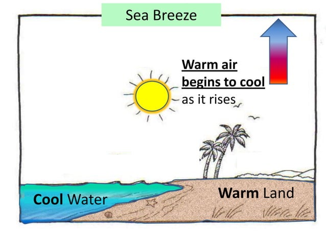 Solar energy, Uneven Heating of Earth, Wind, and Ocean Currents | PPTX ...