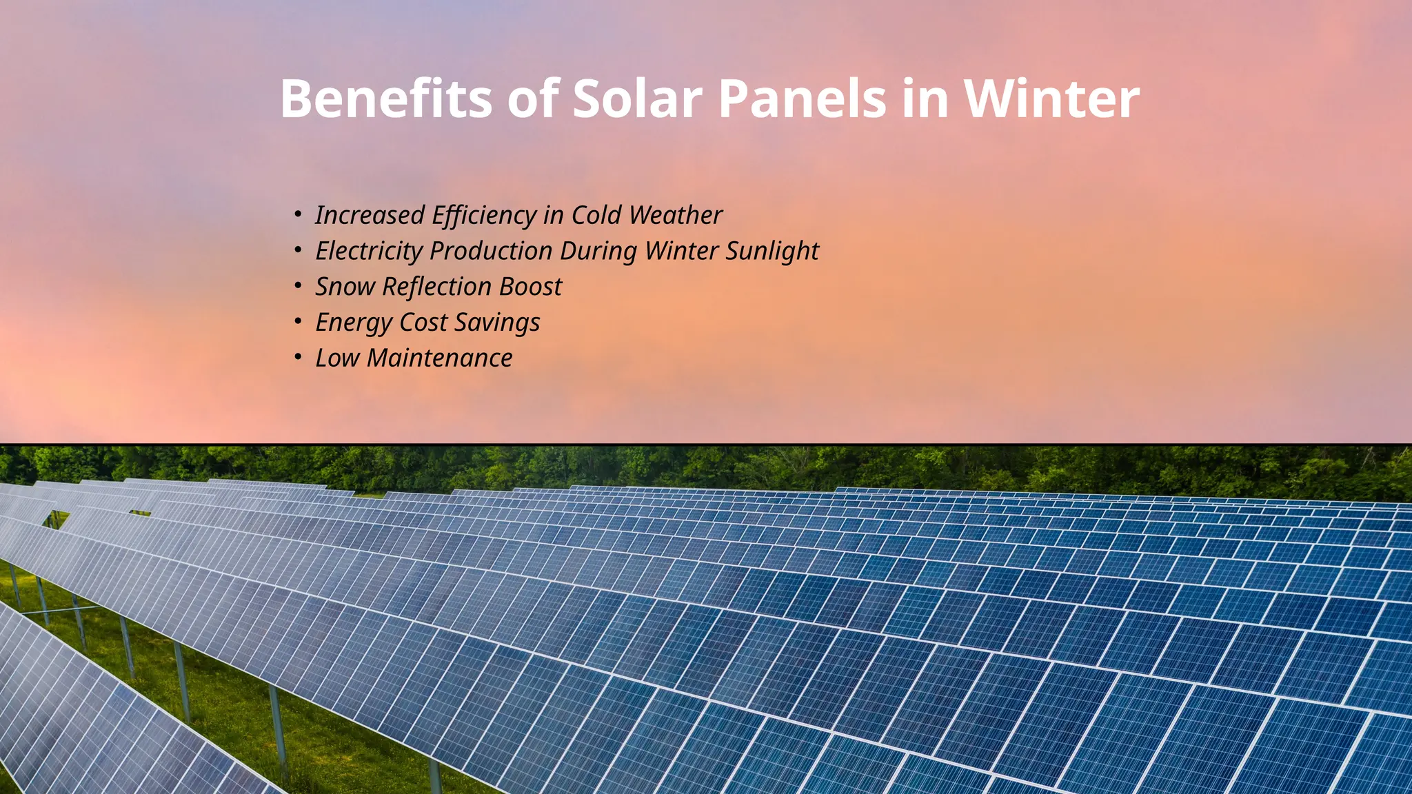 How Solar Panels Work in Winter - Bluebird Solar | PPTX