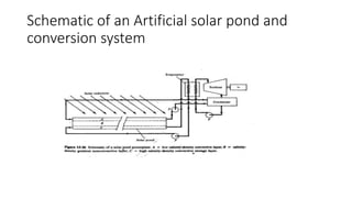 Solar Ponds.pptx
