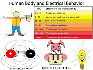 Solar pv power plant and electrical safety | PDF