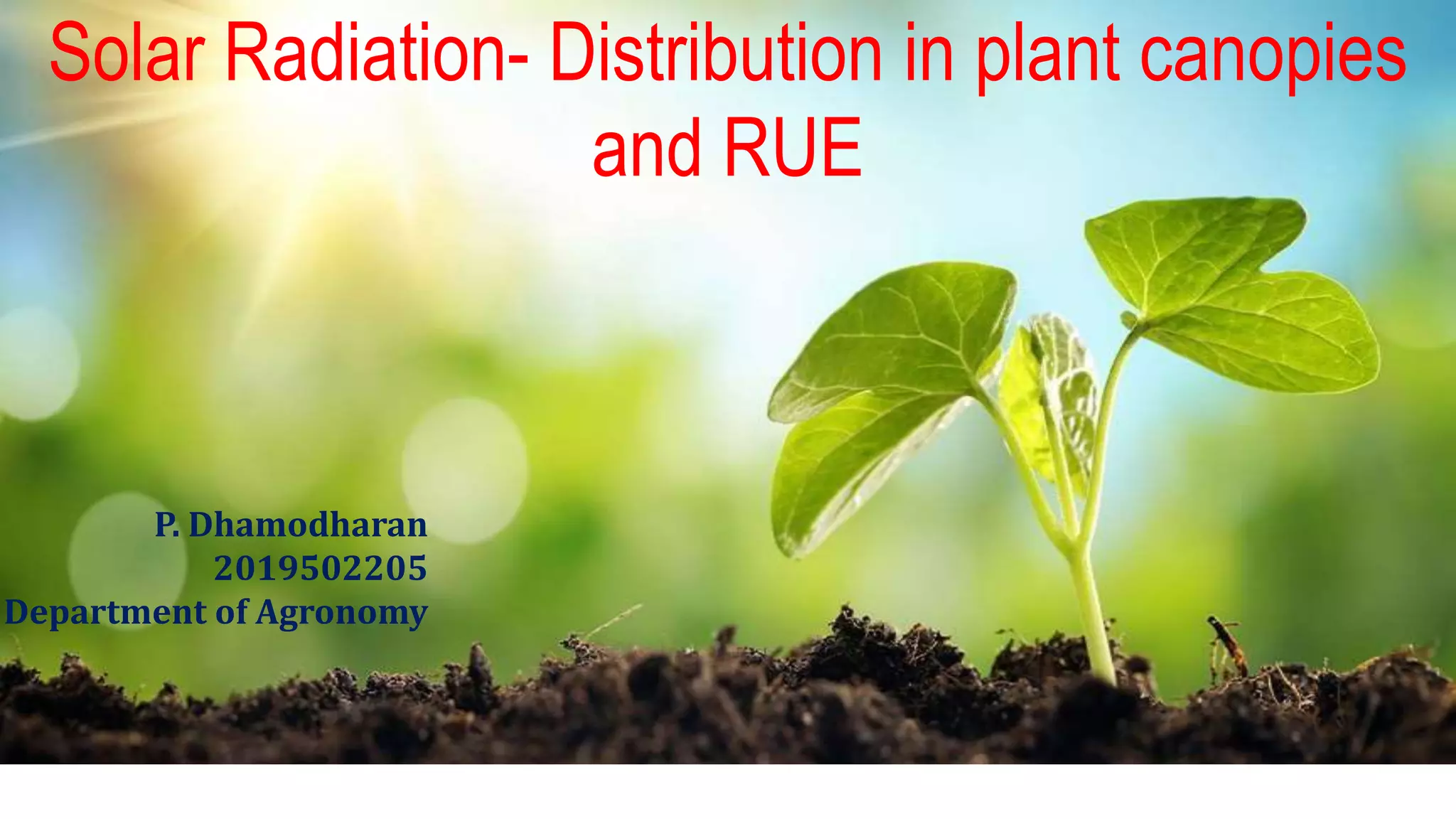 Solar radiation distribution in plant canopies and rue | PPTX