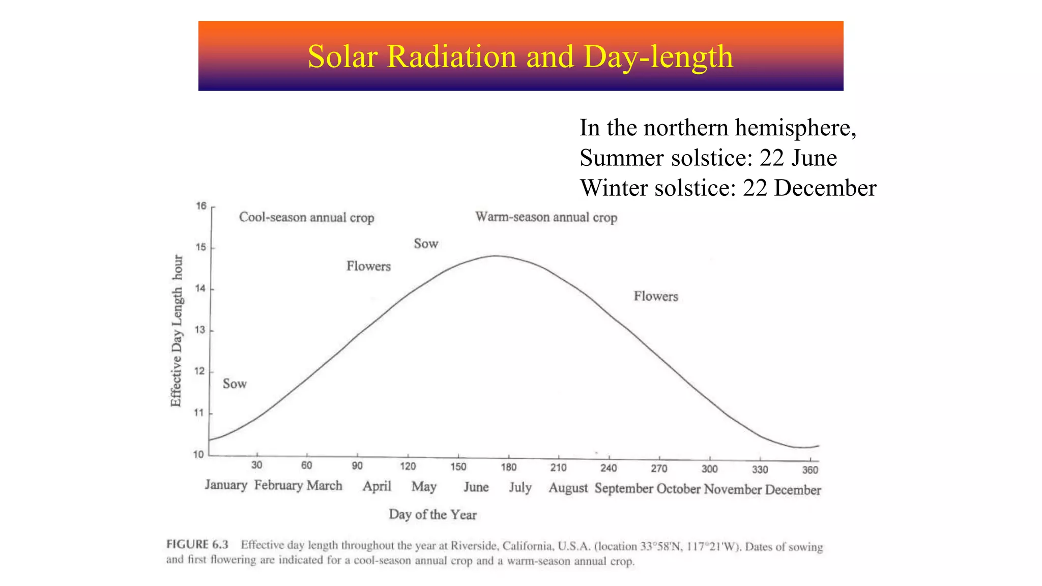 Solar radiation distribution in plant canopies and rue | PPTX
