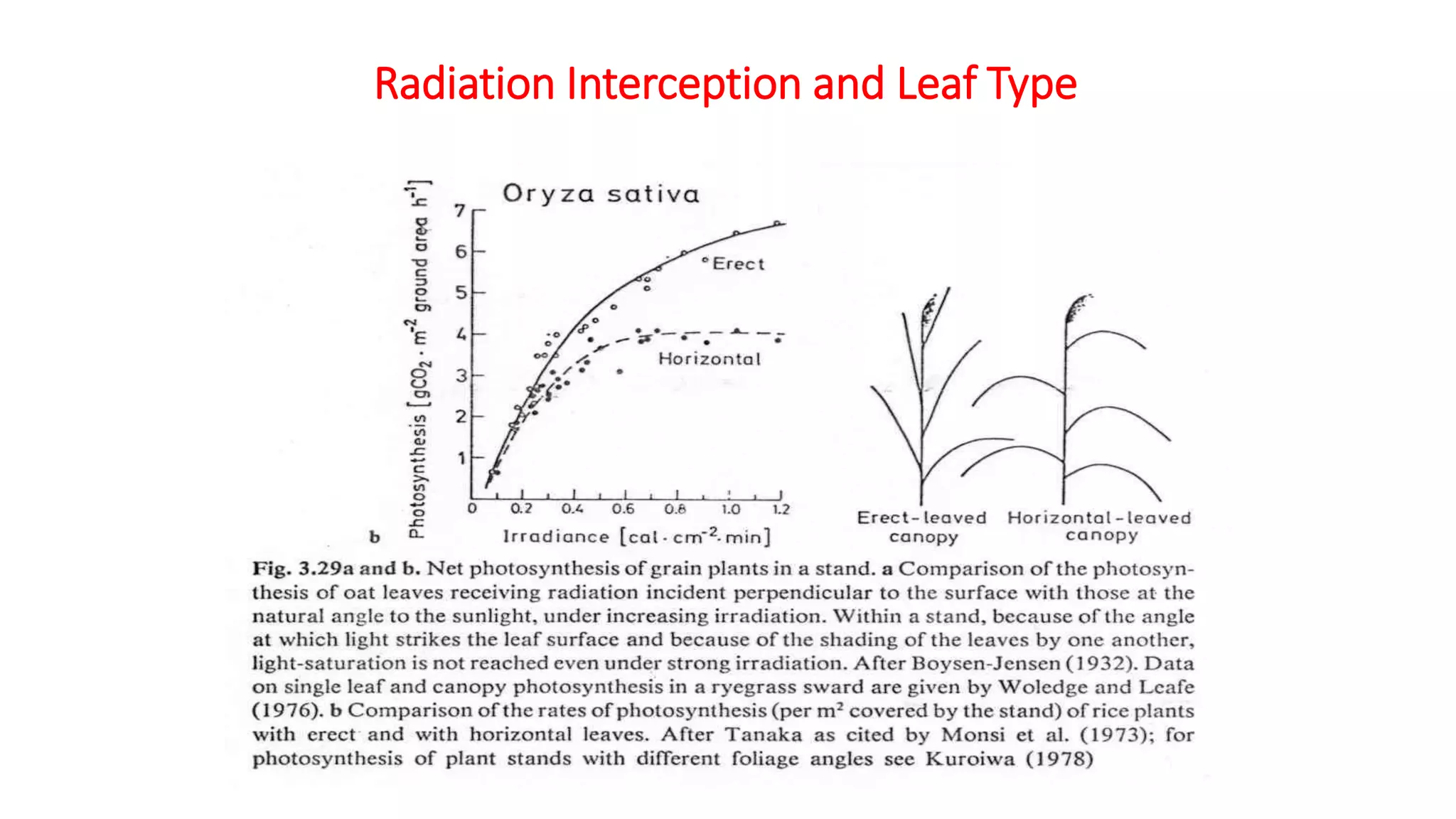 Solar radiation distribution in plant canopies and rue | PPTX