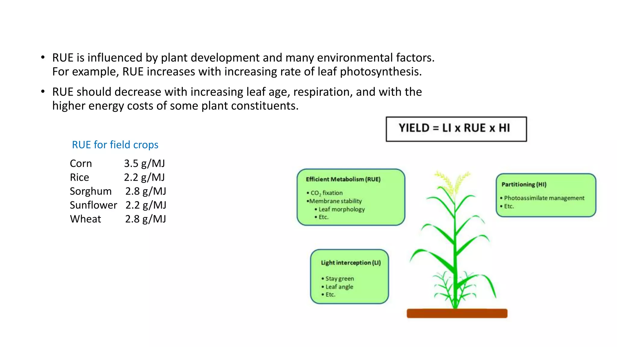 Solar radiation distribution in plant canopies and rue | PPTX