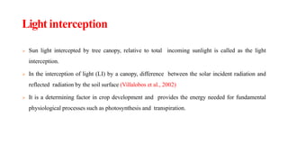 Solar radiation distribution in plant canopies and rue | PPTX
