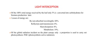 Solar radiation distribution in plant canopies and rue | PPTX