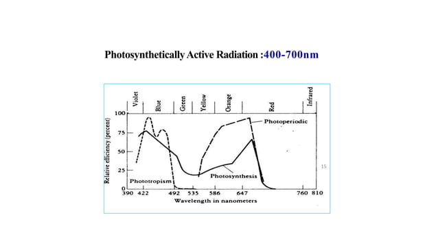 Solar radiation distribution in plant canopies and rue | PPTX | Physics ...