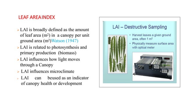 Solar radiation distribution in plant canopies and rue | PPTX | Physics ...