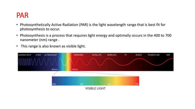 Solar radiation distribution in plant canopies and rue | PPTX | Physics ...