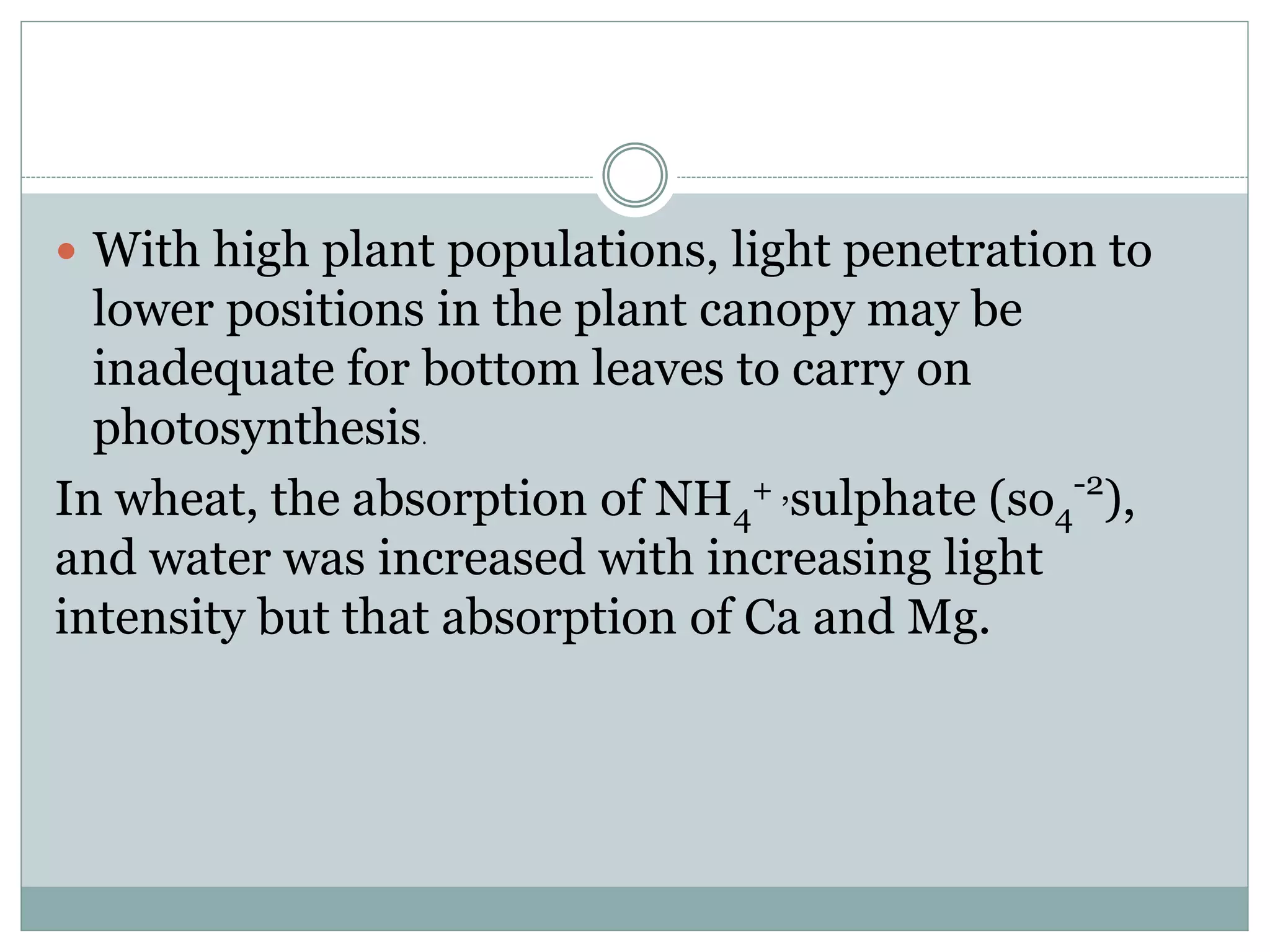 Solar radiation in rice ppt | PPTX