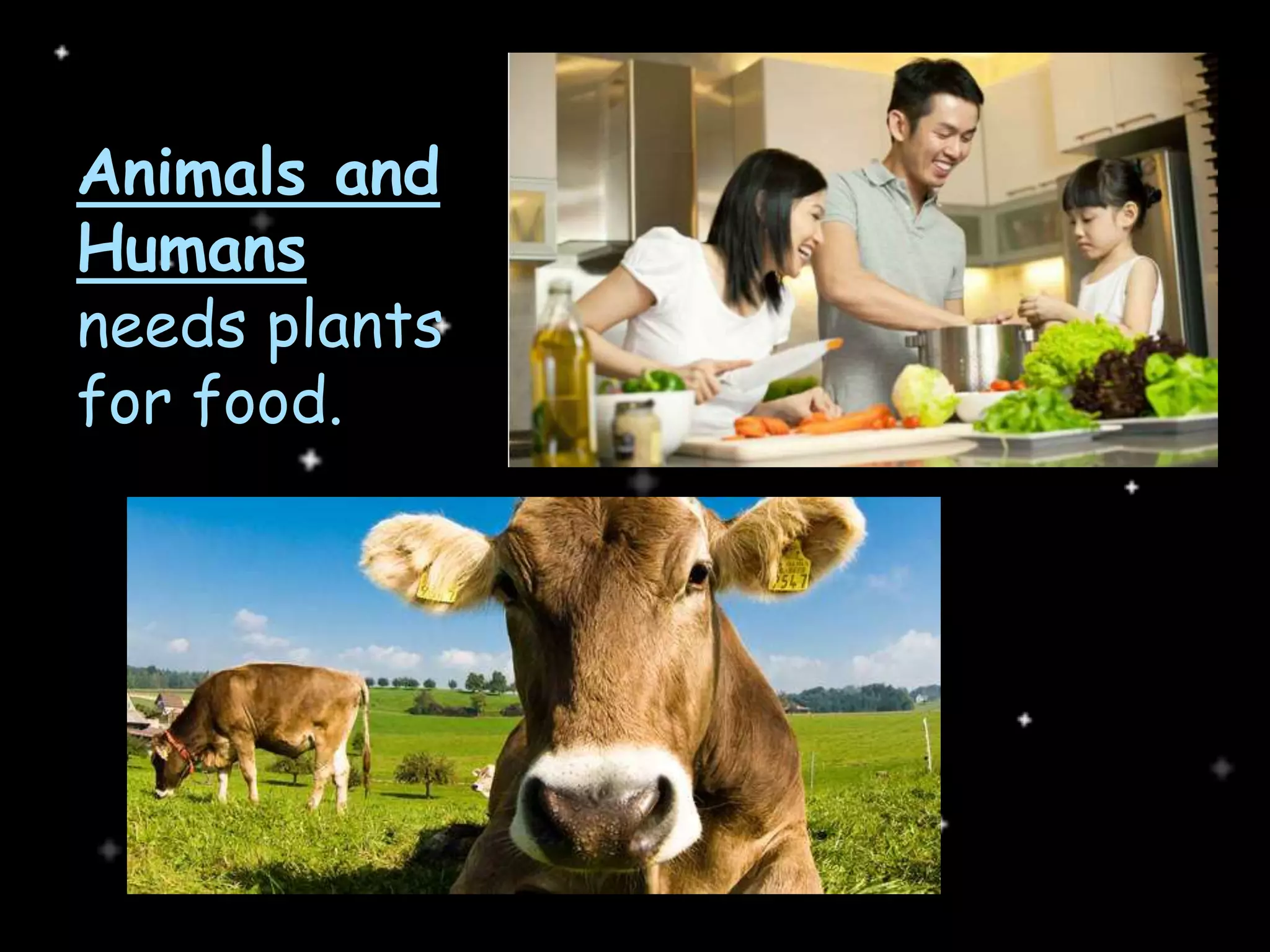 Solar system grade 4 | PPTX