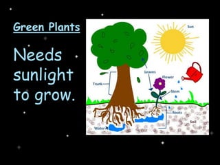 Solar system grade 4 | PPTX