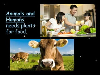 Solar system grade 4 | PPTX