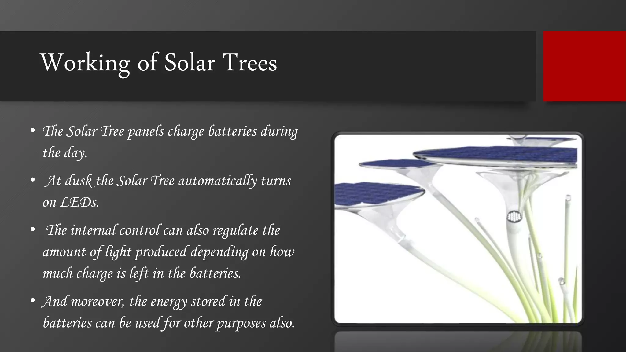 Solar tree PPT | PPTX