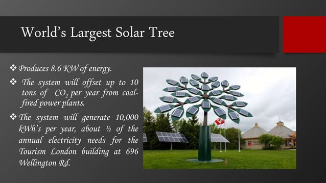 Solar tree PPT | PPTX