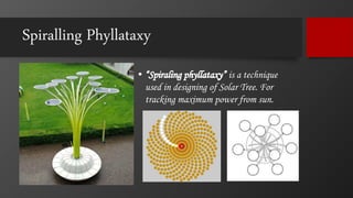 Solar tree PPT | PPTX