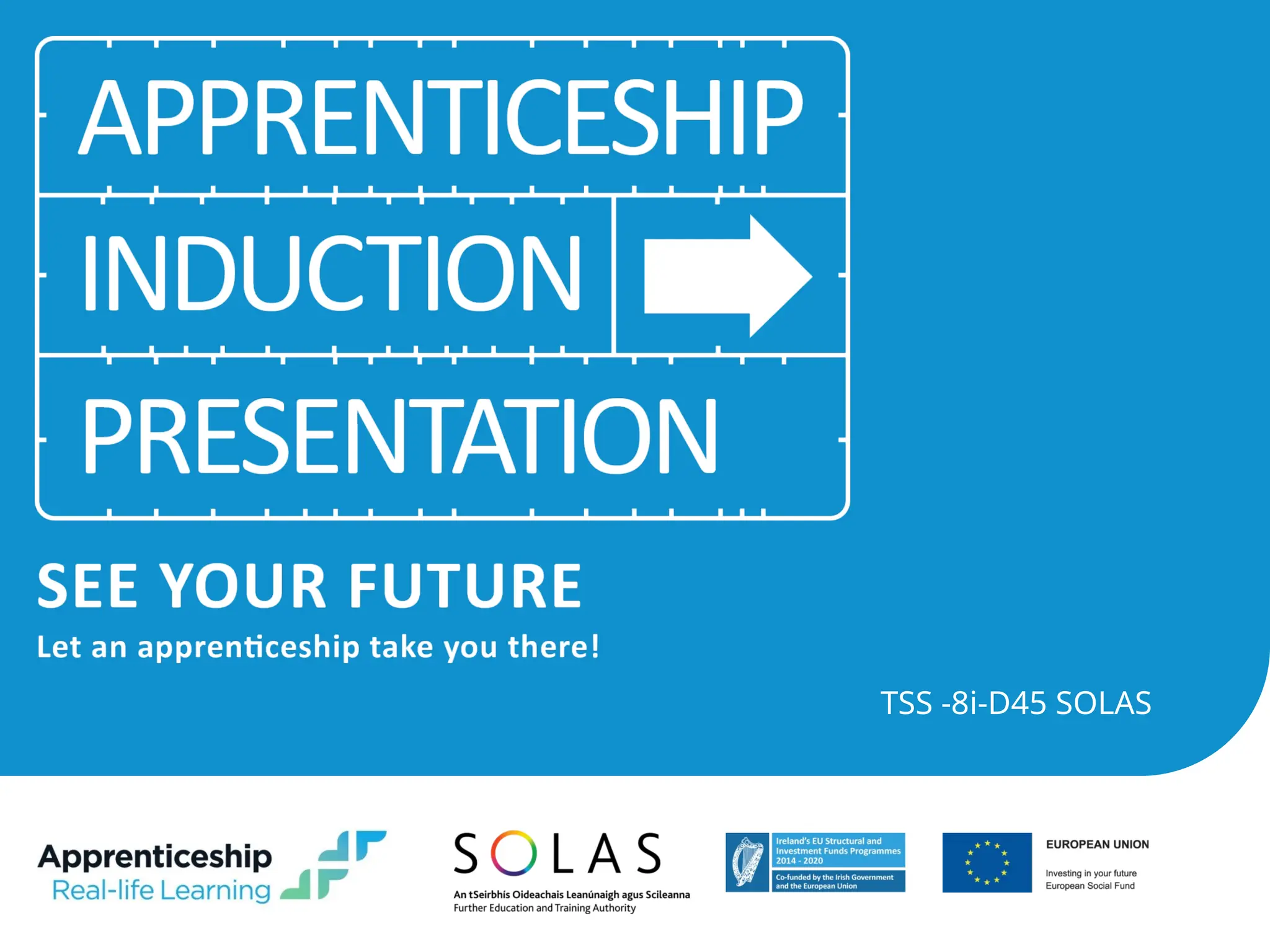 SOLAS - New Generation Apprenticeship Induction - November 2024.pptx