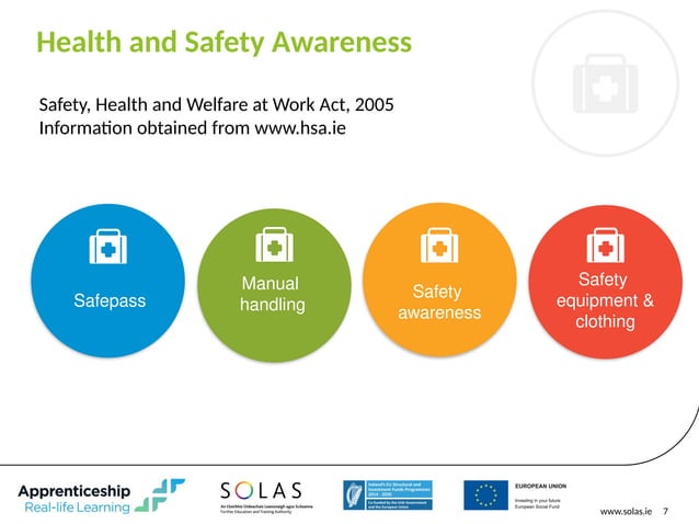 SOLAS - New Generation Apprenticeship Induction - November 2024.pptx