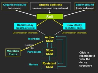 Sol biology and_som | PPS | Gardening | Home & Garden