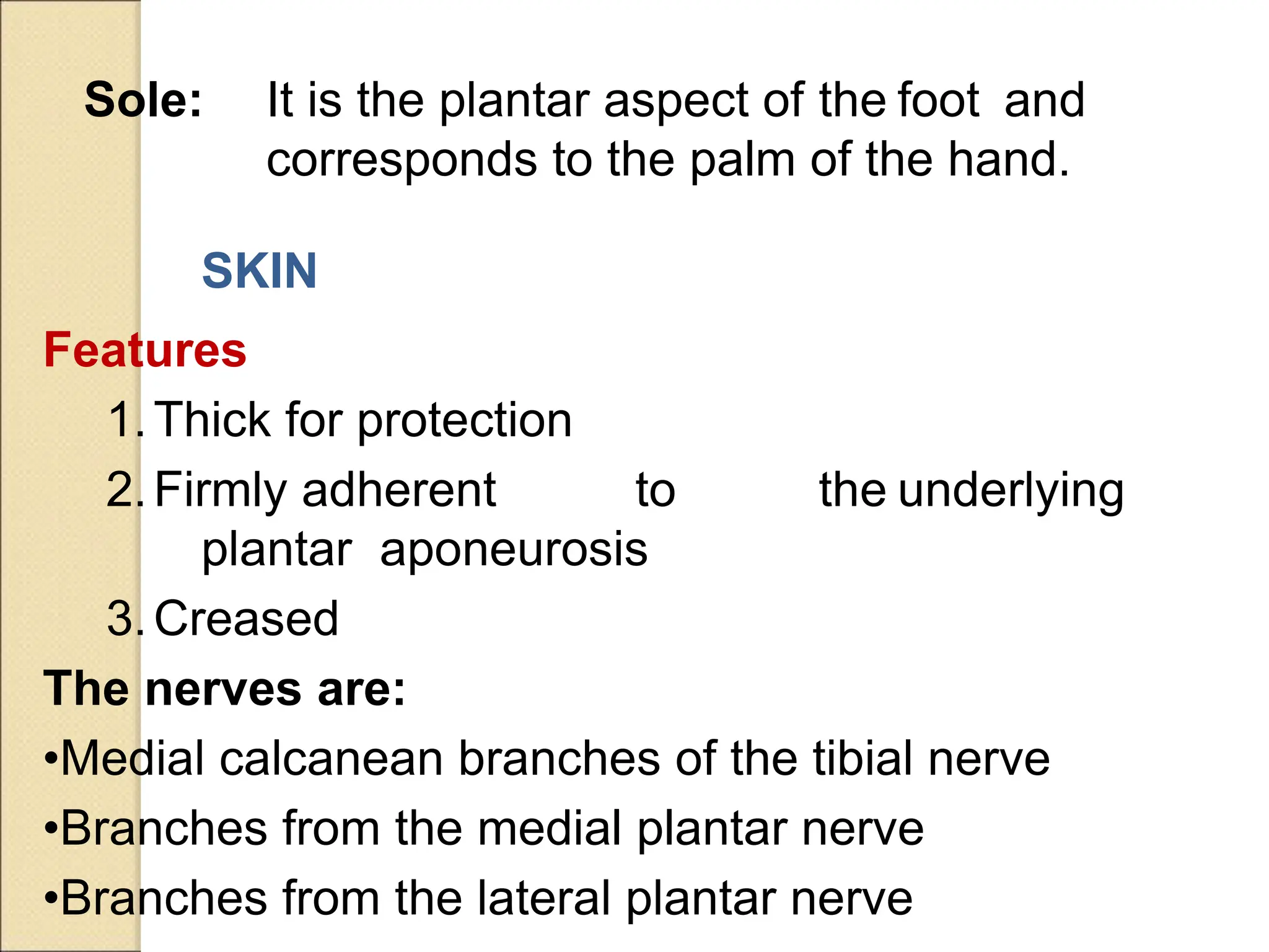 Gross anatomy and four Layers of sole,Applied aspect | PPT