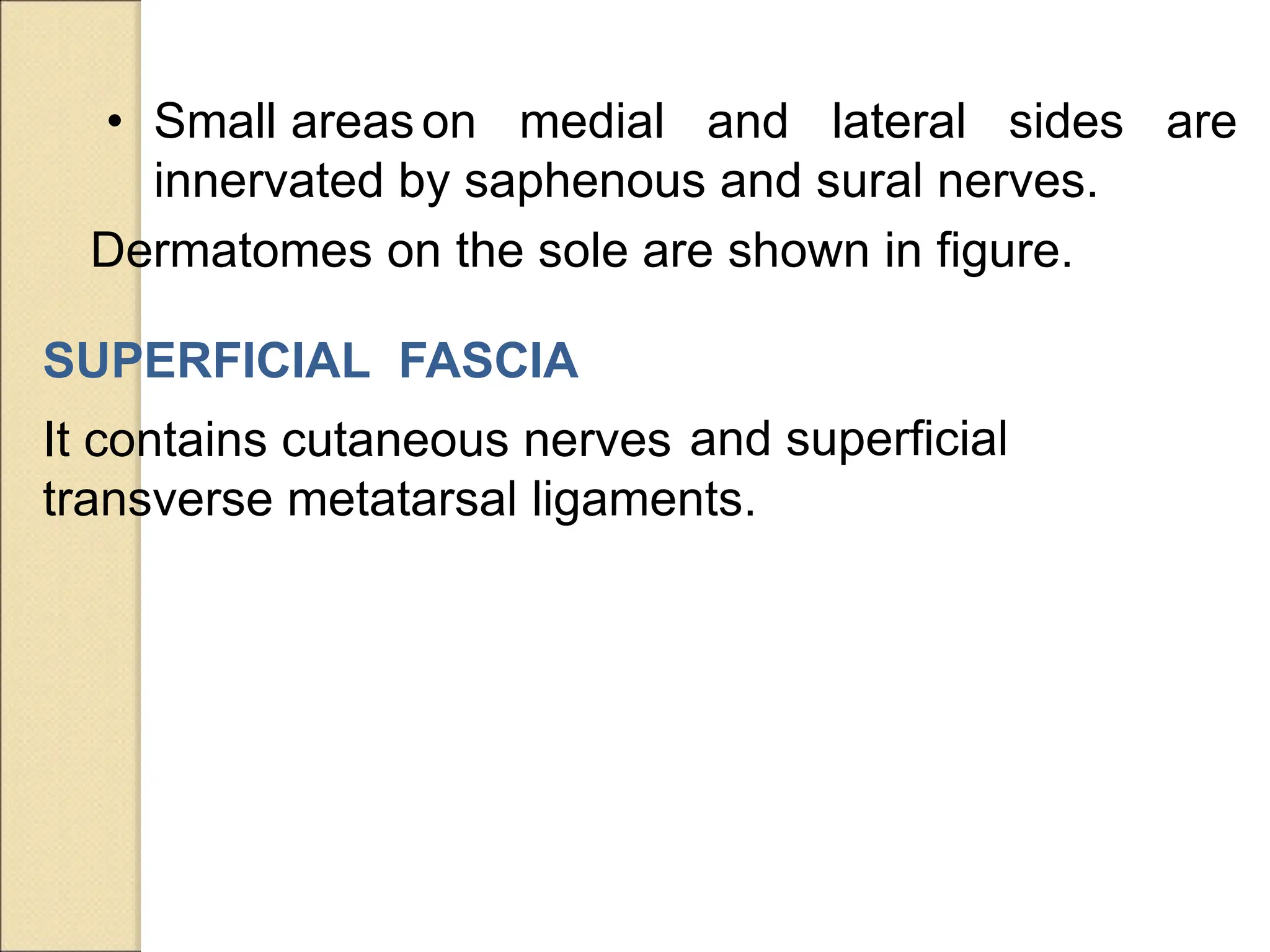 Gross anatomy and four Layers of sole,Applied aspect | PPT