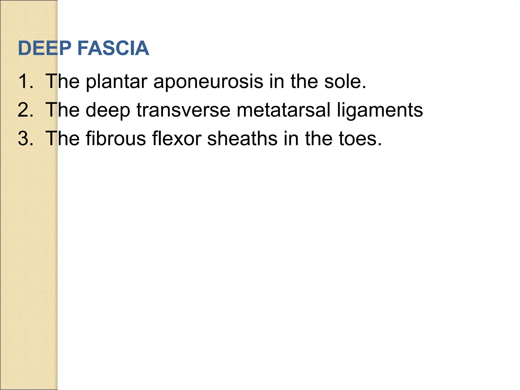 Gross anatomy and four Layers of sole,Applied aspect | PPT