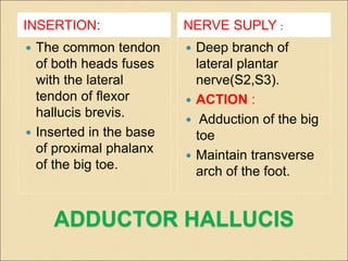 Gross anatomy and four Layers of sole,Applied aspect | PPT