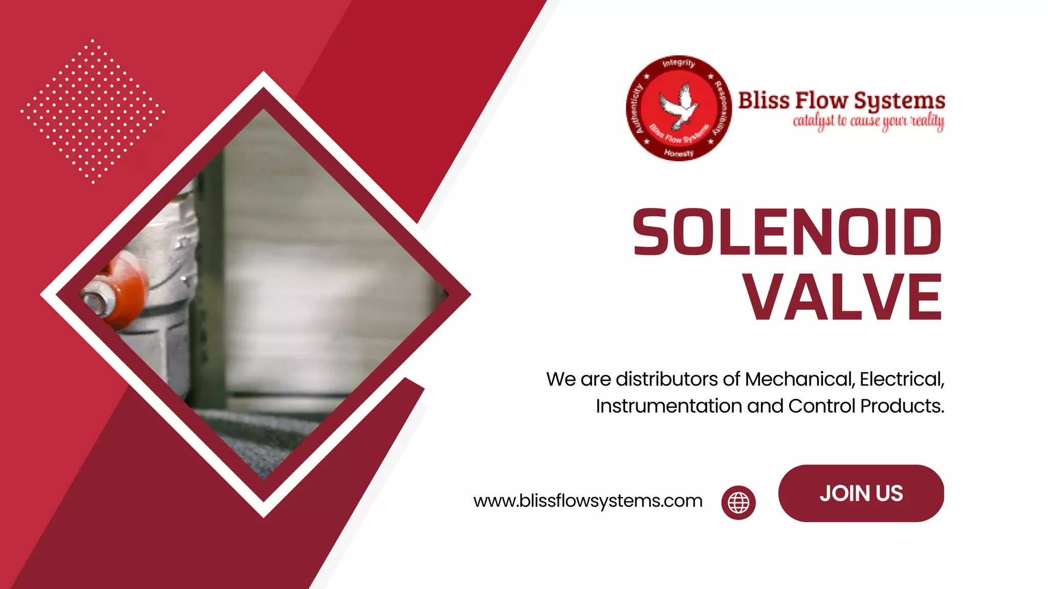 Solenoid Valve | Basket Strainer | Vibration Transmitter - Bliss Flow | PDF