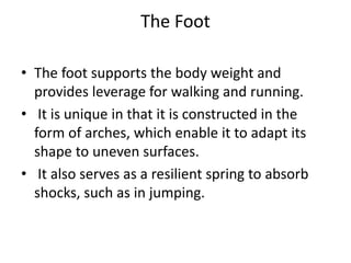 sole of foot.pptx