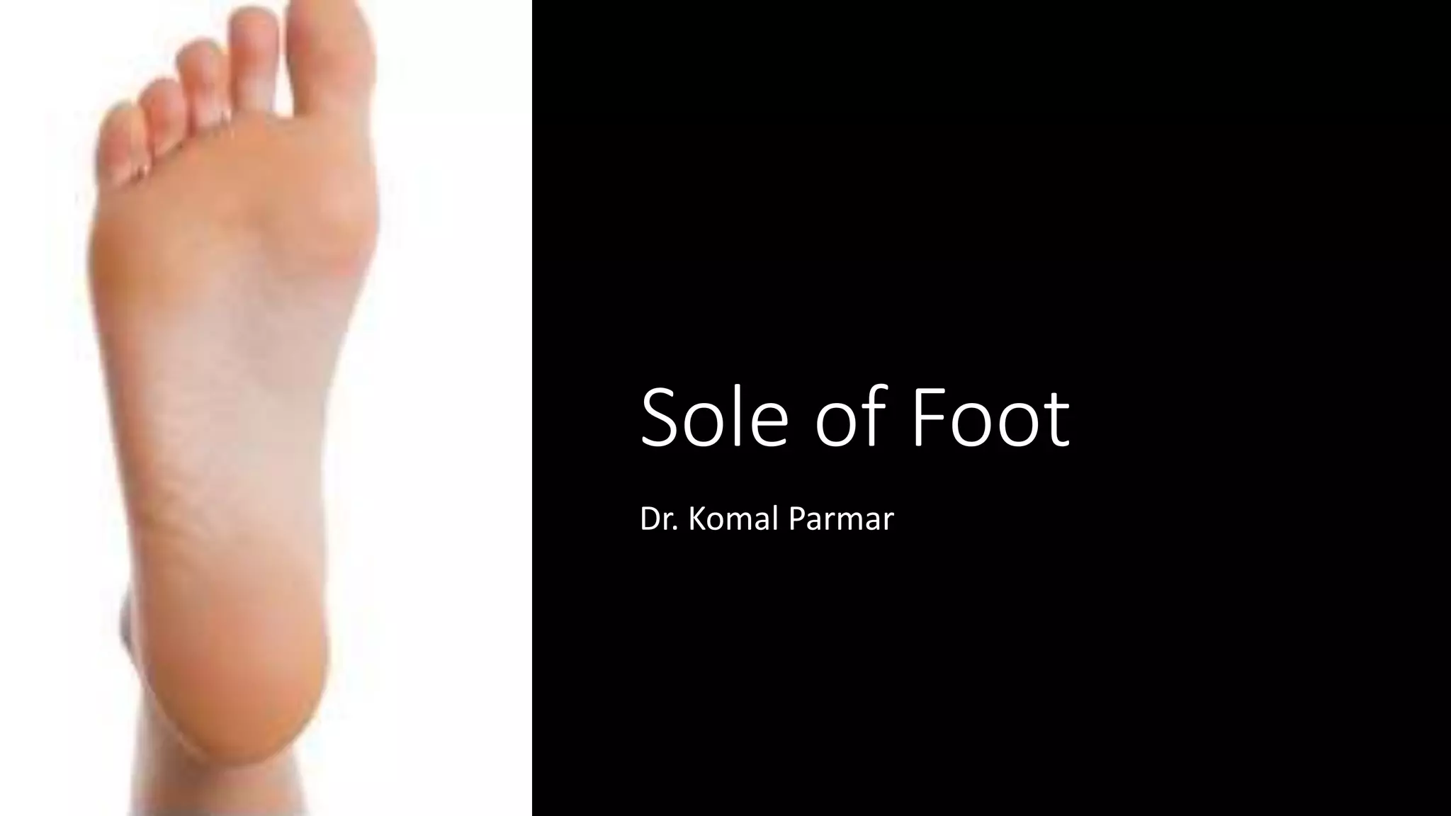 Sole of foot soft tissue and muscles | PPTX