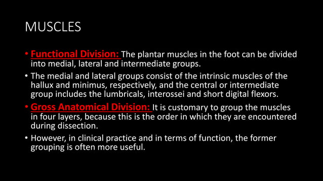 Sole of foot soft tissue and muscles | PPTX