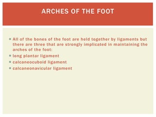 Sole of the foot | PPTX