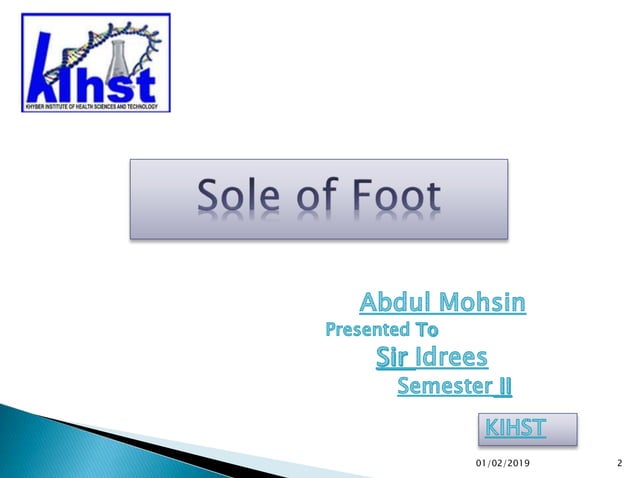 Sole of the foot abdul mohsin | PPTX