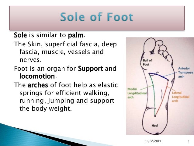 Sole of the foot abdul mohsin