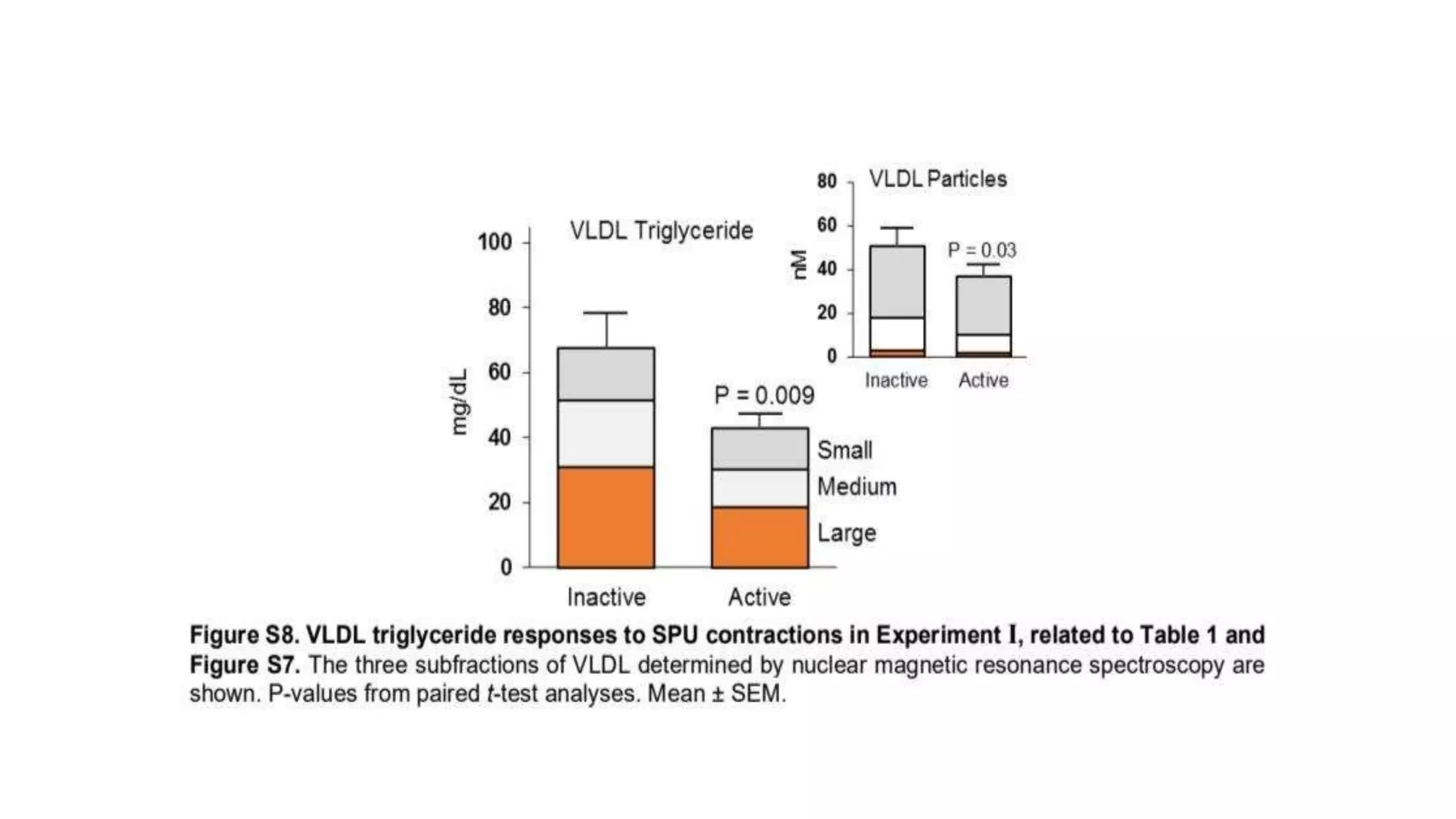 SOLEUS THE SLOW OXIDATIVE MUSCLE .pptx