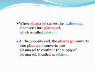 Sol gel theory | PPTX