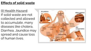 Solid Waste Management EVS | PPTX