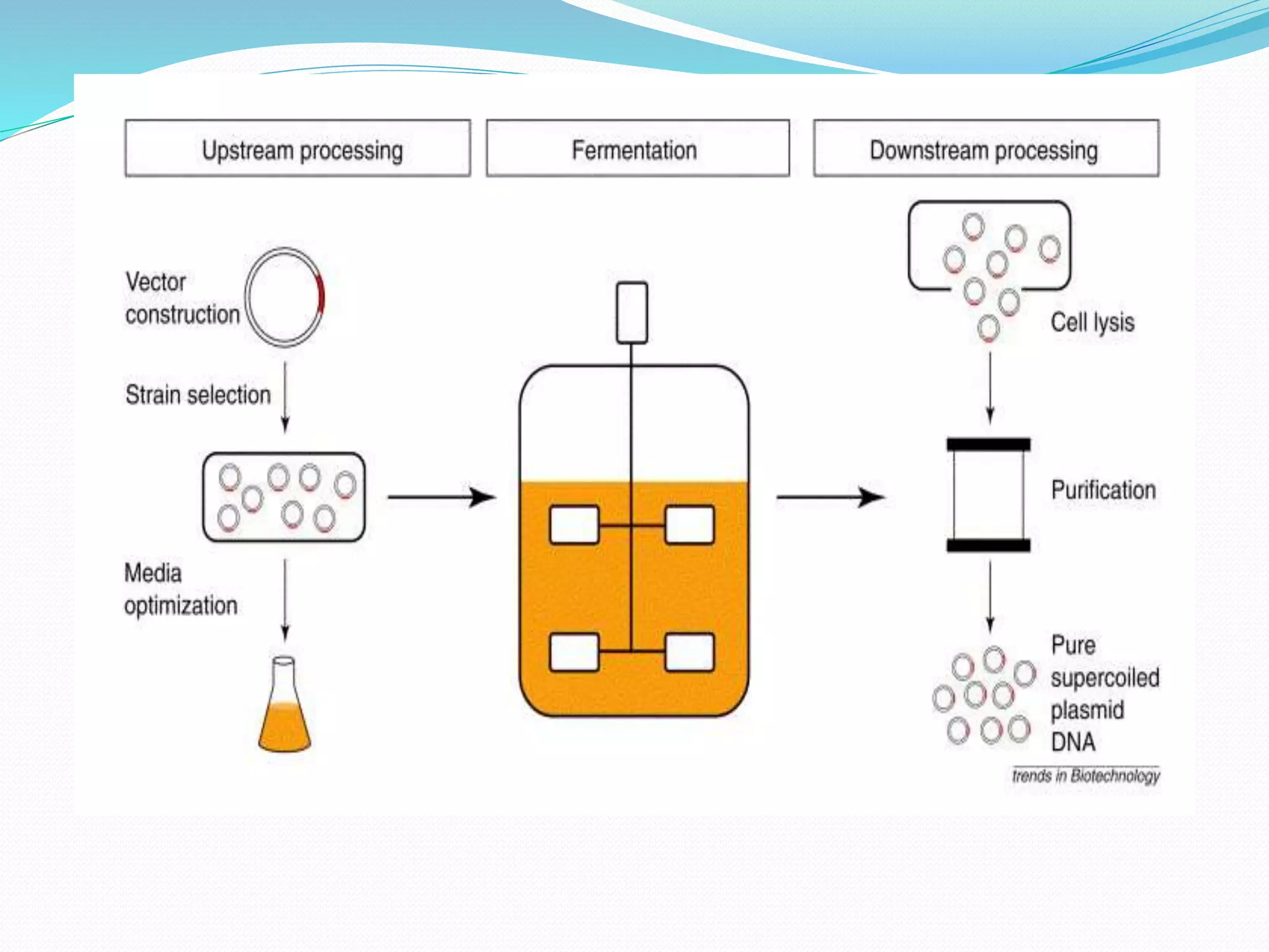 Solid liquid separation Downstream processing | PPTX