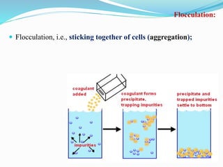 Solid-liquid separation.pptx