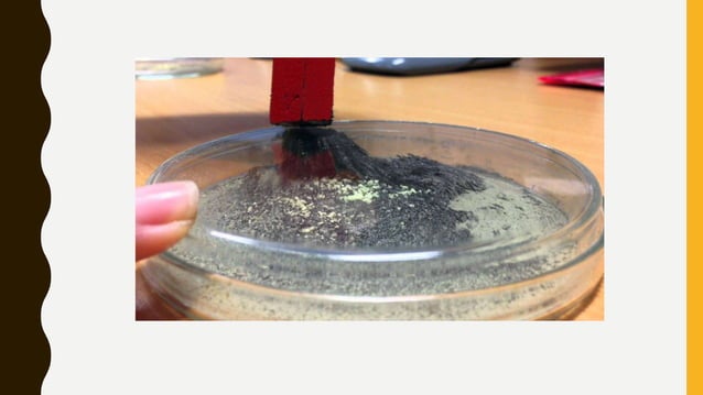 Solid solid separation methods | PPTX