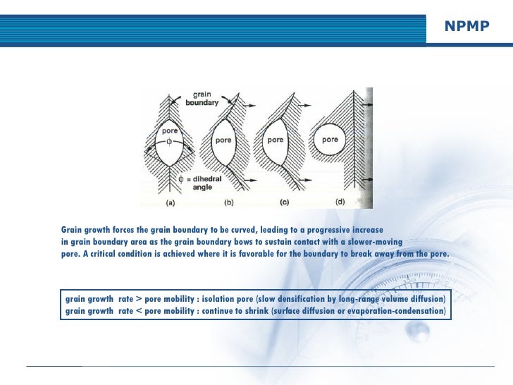 Solid State Sintering Fundamentals