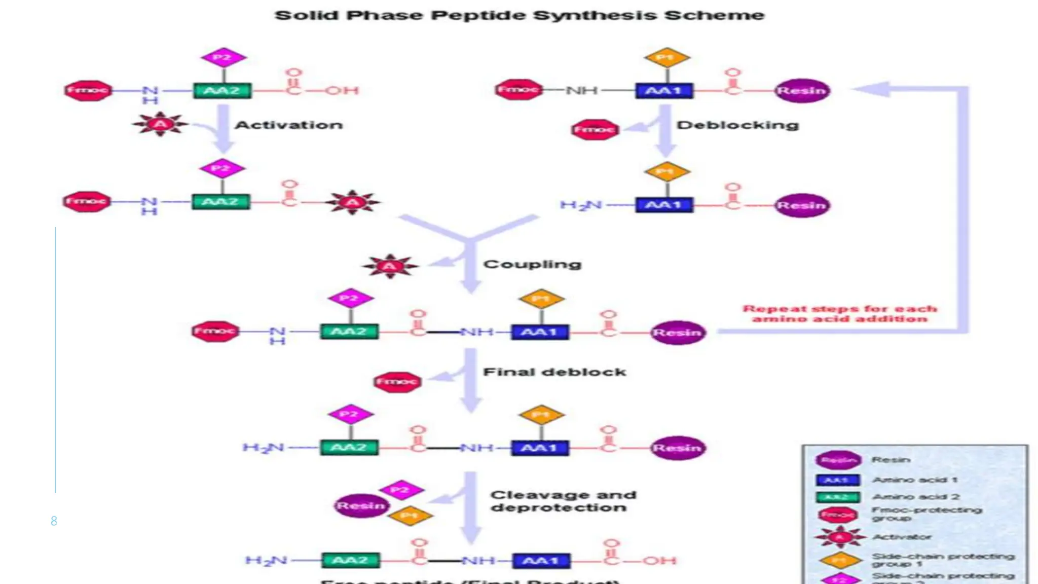 Solid and Solution phase peptide synthesis PPT.pptx