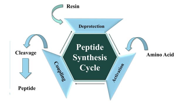 Solid and Solution phase peptide synthesis PPT.pptx | Chemistry | Science