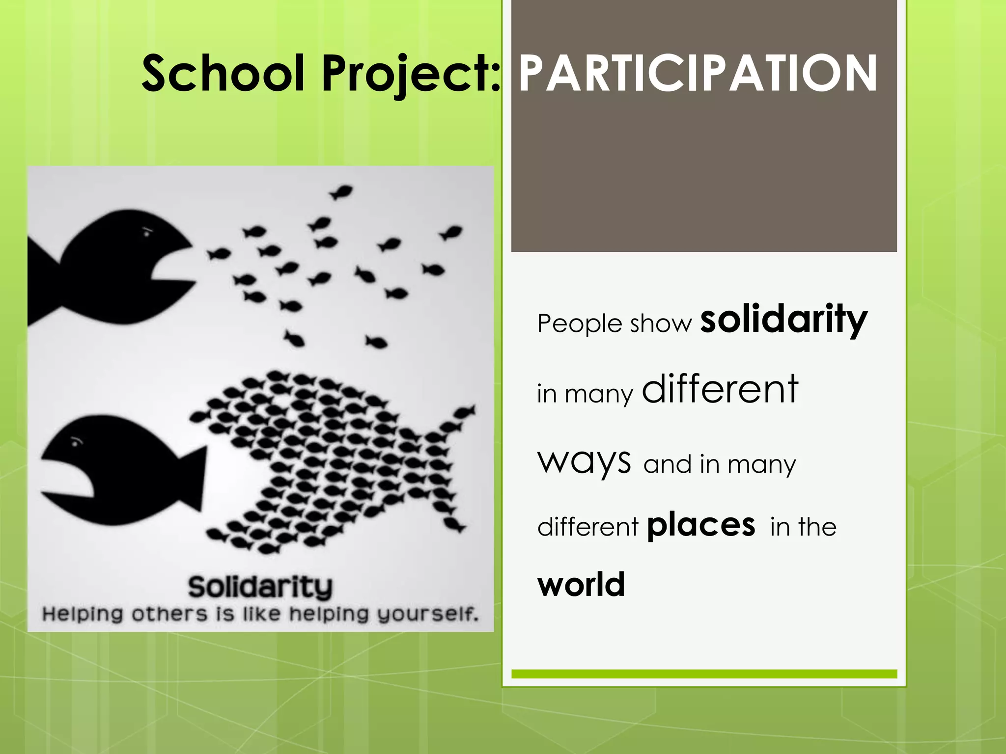 Solidarity: project presentation | PPT