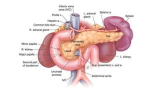 radiological imaging of pancreatic malignancy - solid neoplasms radiological imaging of exocrine ...